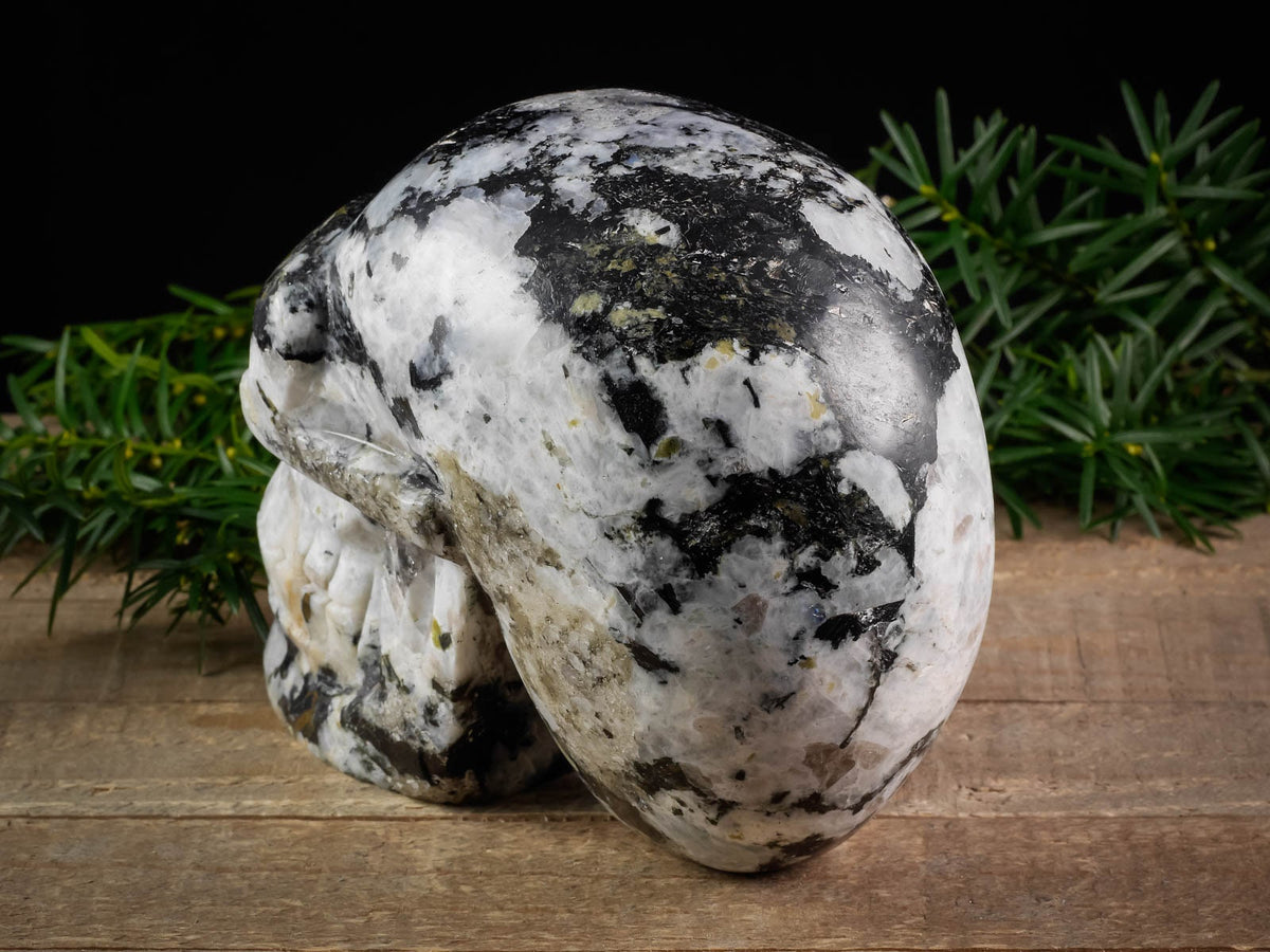 MOONSTONE Crystal Skull - Large - Gothic Home Decor, Memento Mori, Hal ...